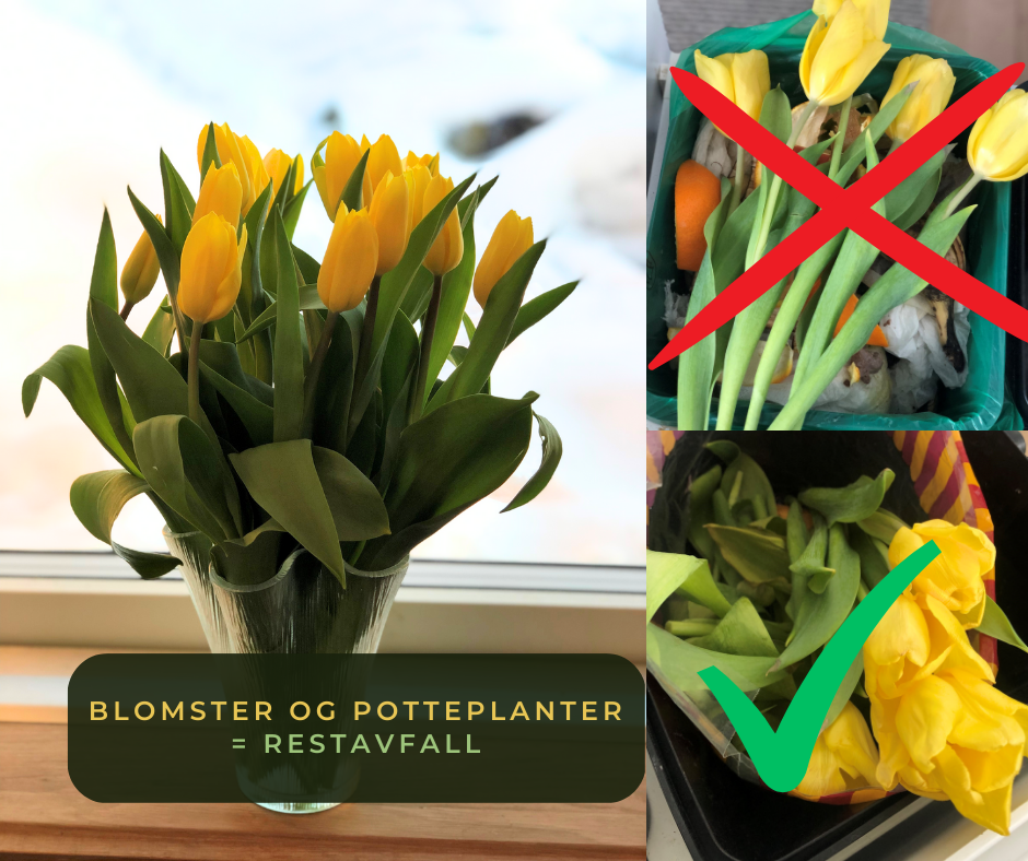 Riktig Sortering Av Planter Blomster Og Krydderplanter Bærum Kommune